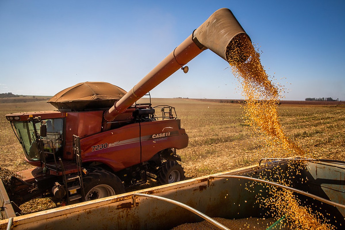 Colheita de milho supera da área em Mato Grosso