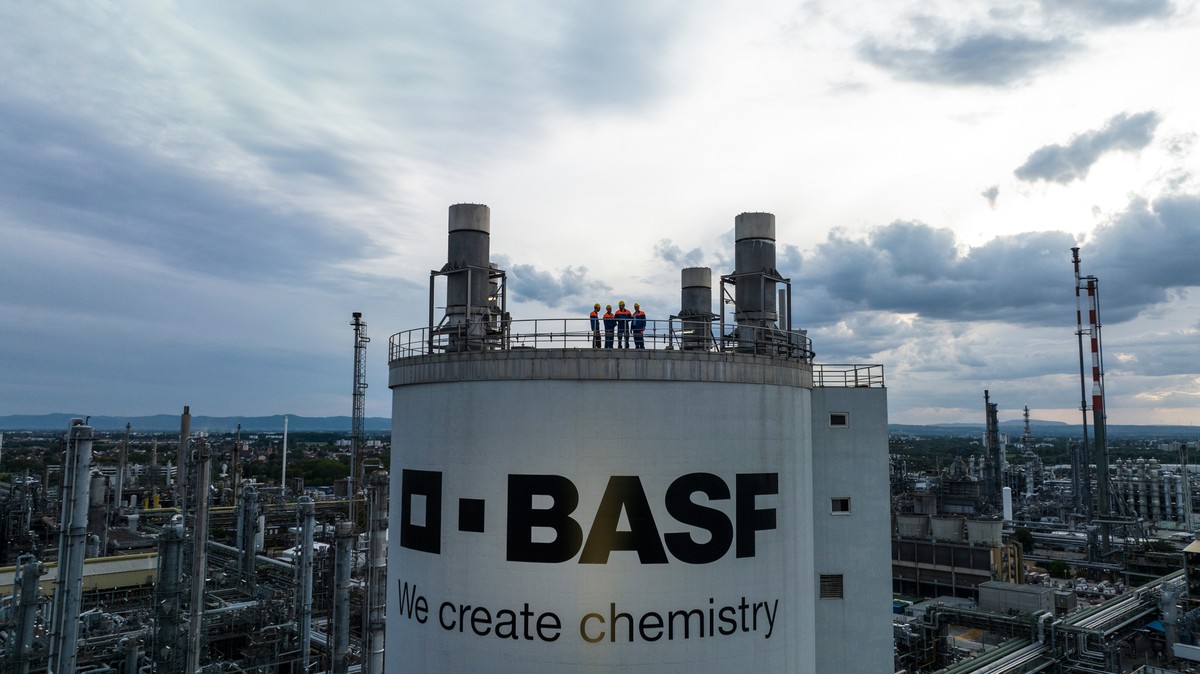 Basf quer fazer IPO da área agrícola, diz agência