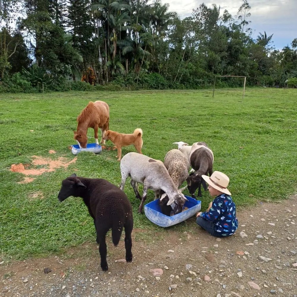 Bebê campeiro faz sucesso na internet demonstrando amor pelos animais