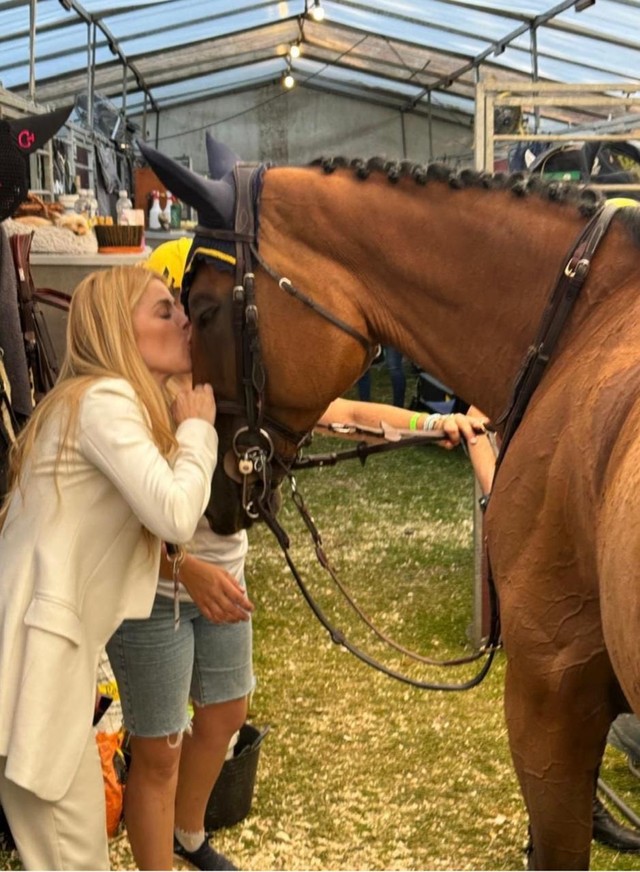 Hipismo nas Olimpíadas: conheça Miss Blue, uma das favoritas ao pódio
