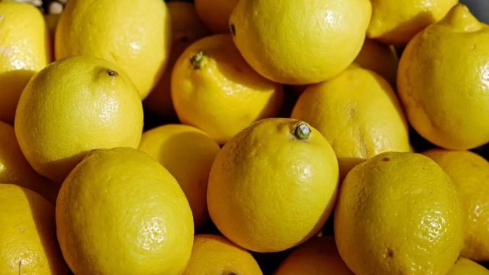 Quais tipos de limão existem? Conheça as principais variedades
