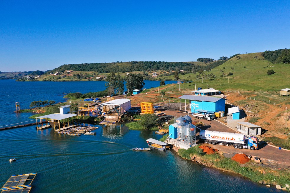 Alpha Fish projeta investimento de R$ 500 milhões na produção de ...