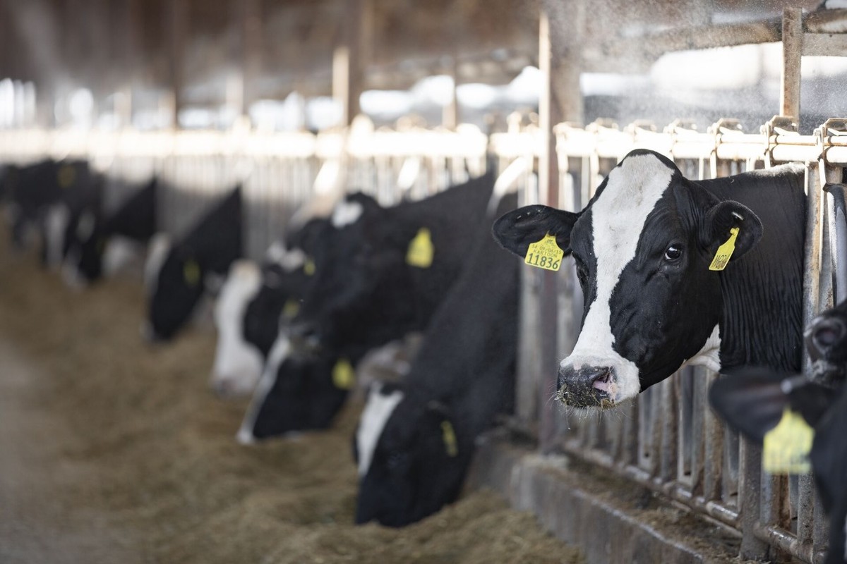 Nutrição animal com foco em sustentabilidade ganha destaque