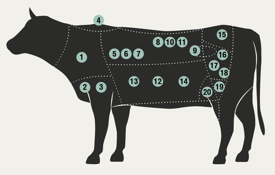 De que partes do boi vêm os cortes de carne?