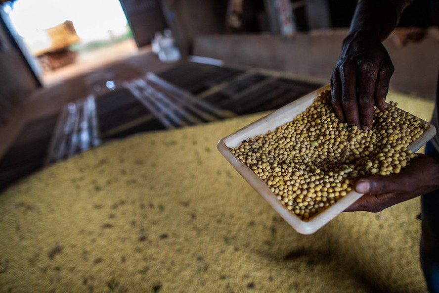 Industrialização da soja recebe investimentos de R$ 5,7 bilhões