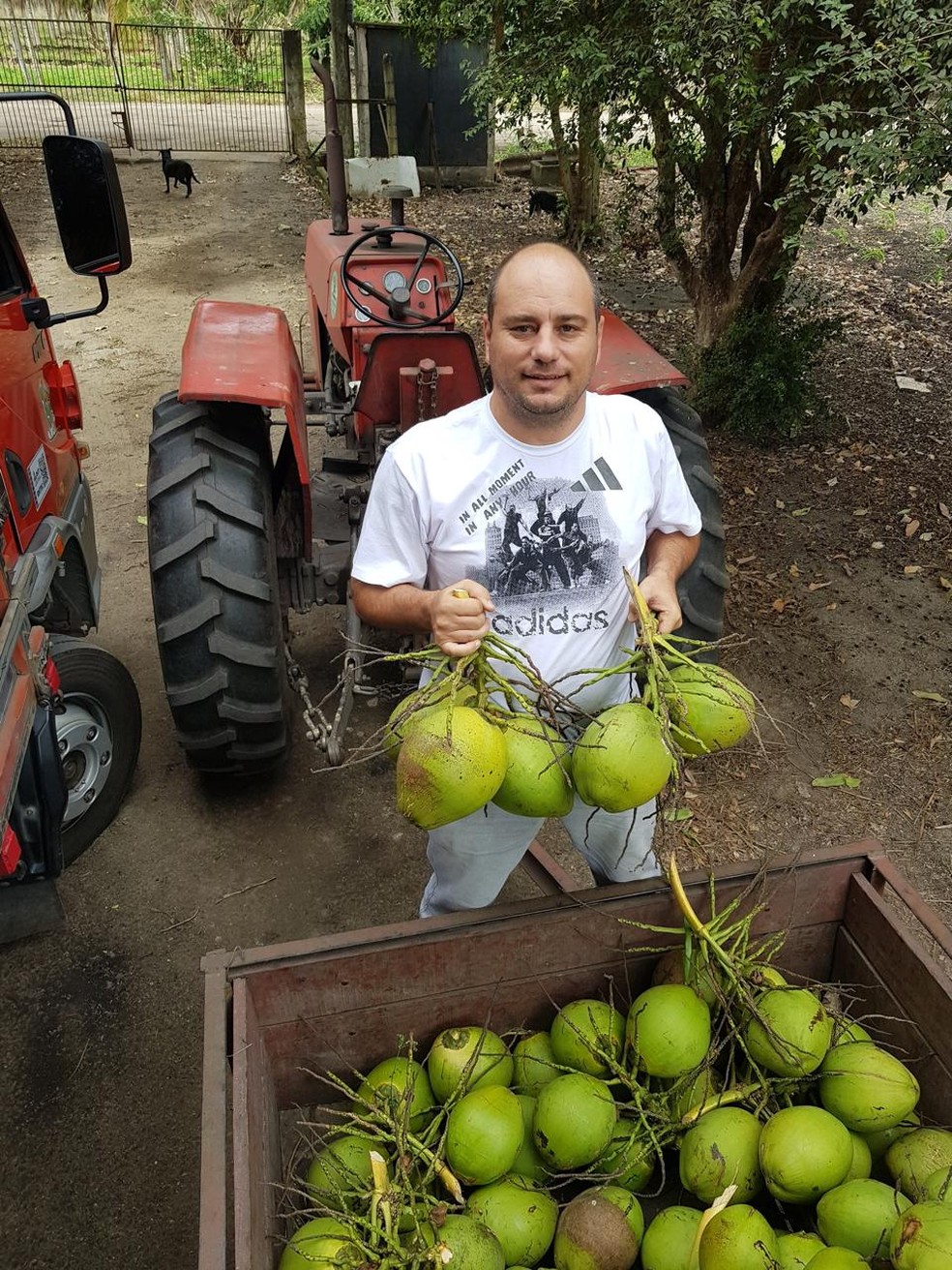 Água de coco ganha espaço antes, durante e depois da praia no RJ