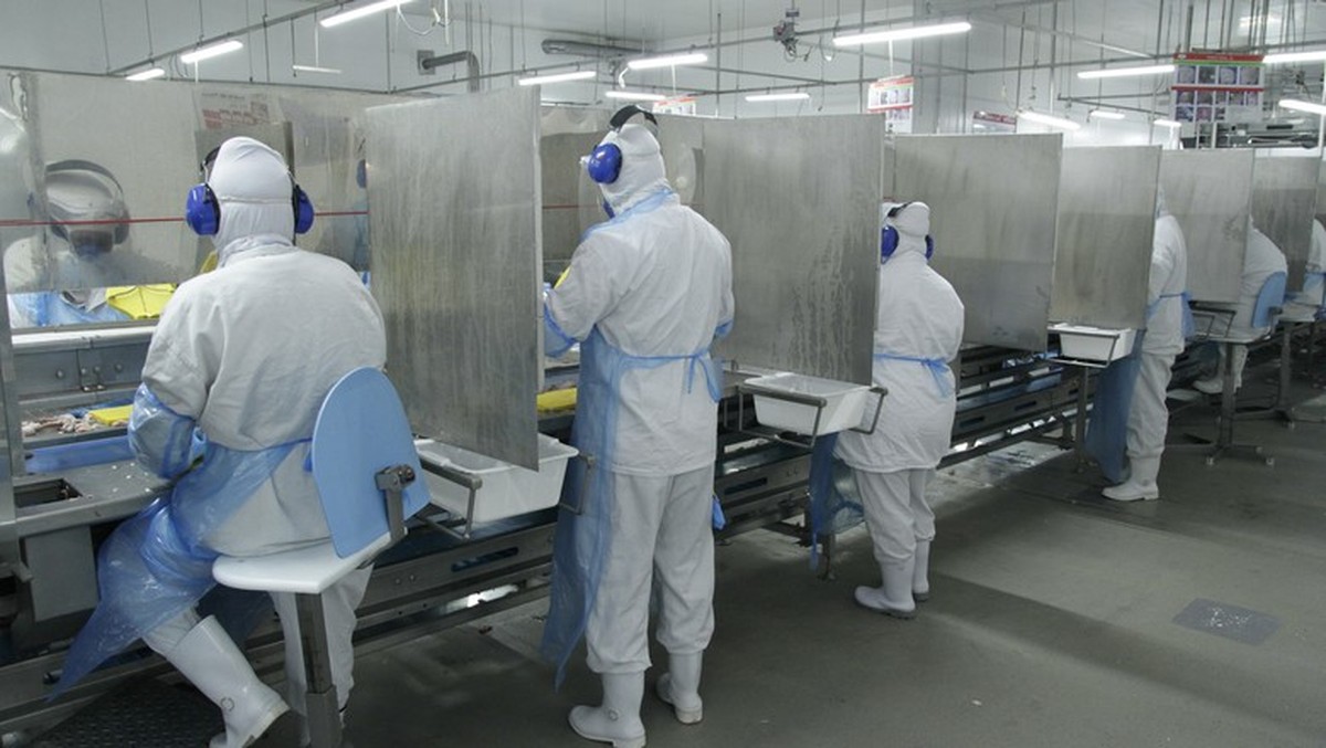 JBS amplia produção em fábrica de Dinmore, na Austrália