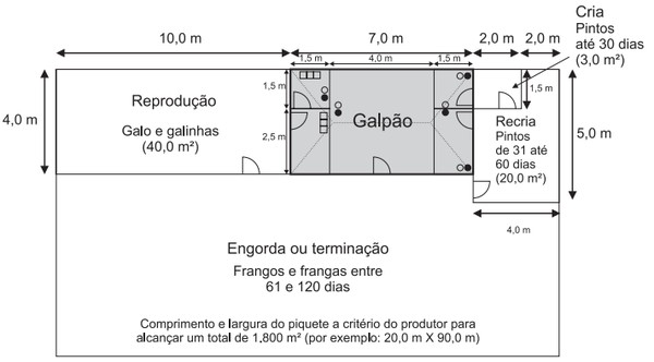 Como fazer um galinheiro: veja passo a passo