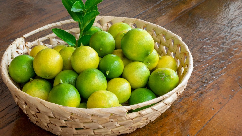 Quais tipos de limão existem? Conheça as principais variedades