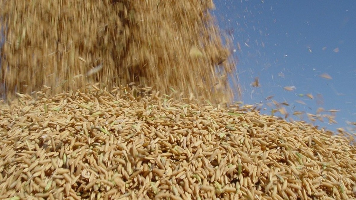 Lula não vai comprar ‘arroz de plástico’ da China; saiba de onde vem o ...