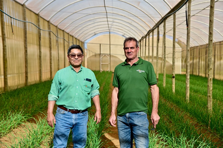 À frente do tempo: fazenda de Goiás adotou práticas sustentáveis antes ...