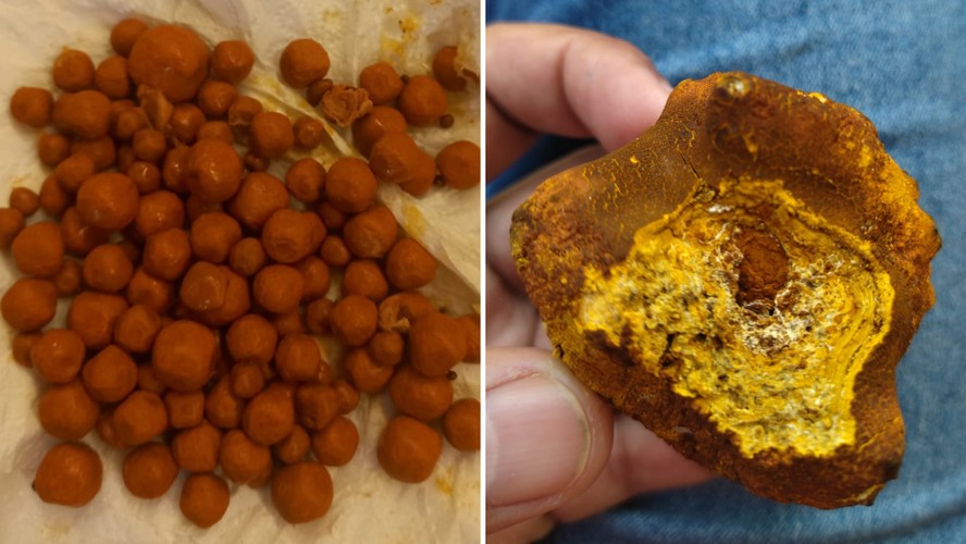 Parte mais valiosa do boi pode custar R$ 300 mil o quilo. Saiba qual é