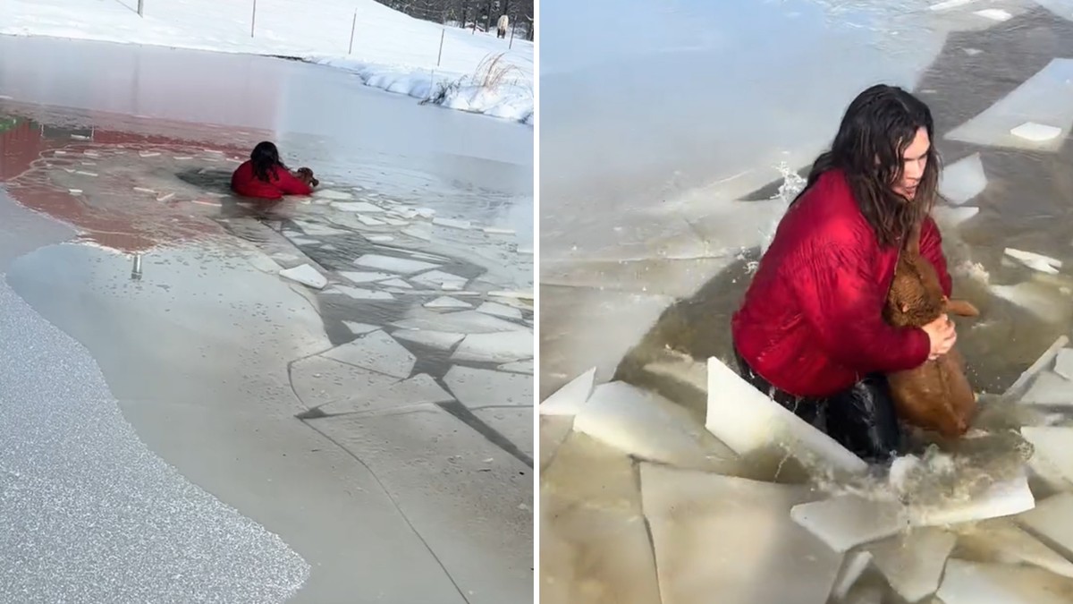 Onda de frio: garoto pula em lago congelado para salvar vaca nos EUA