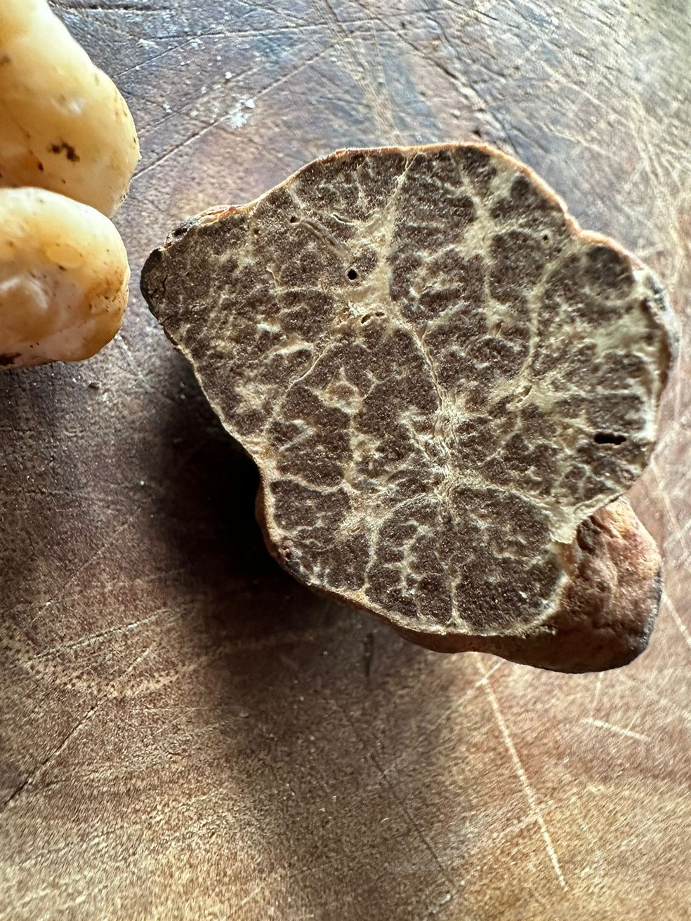 Brasil inicia cultivo de trufas, iguarias raras e preciosas