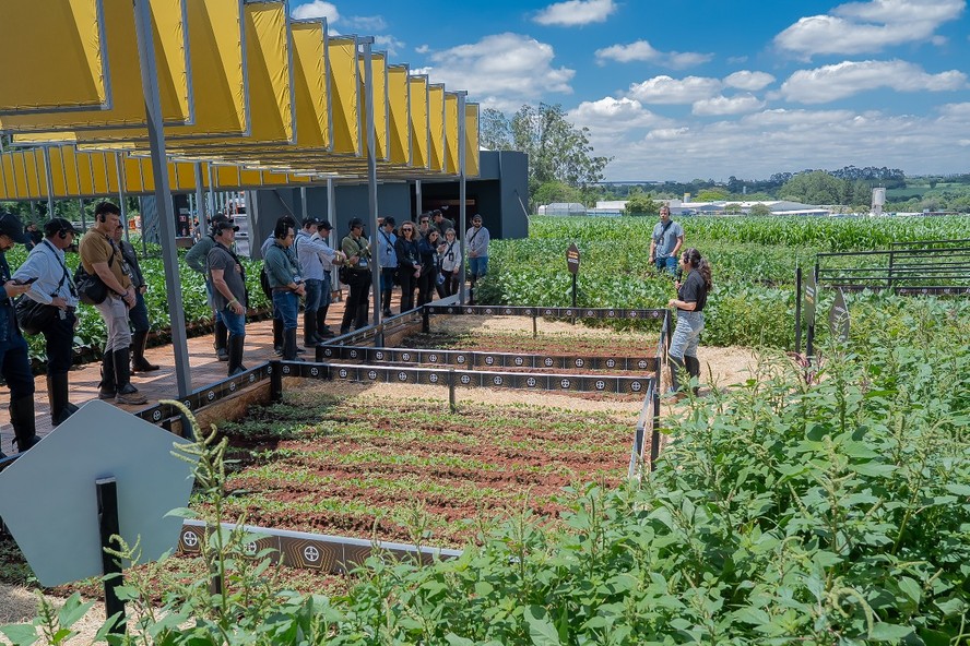 Bayer lança soja Intacta 5+, prevista para a safra 2027/28