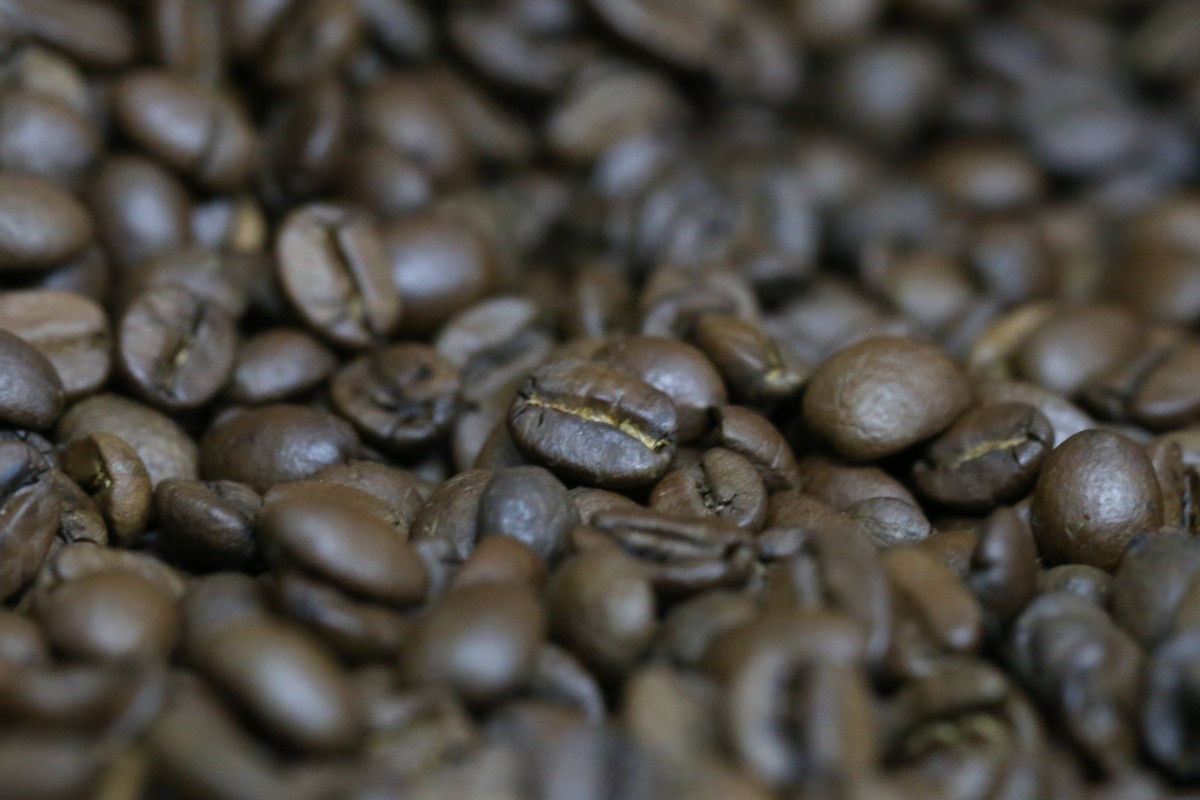 Preços do café sobem na abertura da bolsa de Nova York