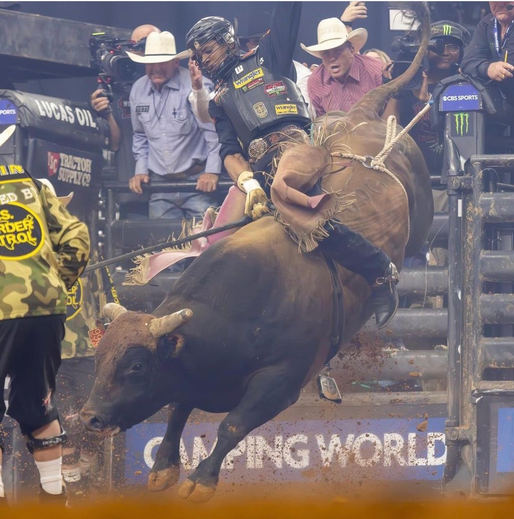 Brasileiro pisoteado por touro vence mundial de rodeio e leva prêmio de ...