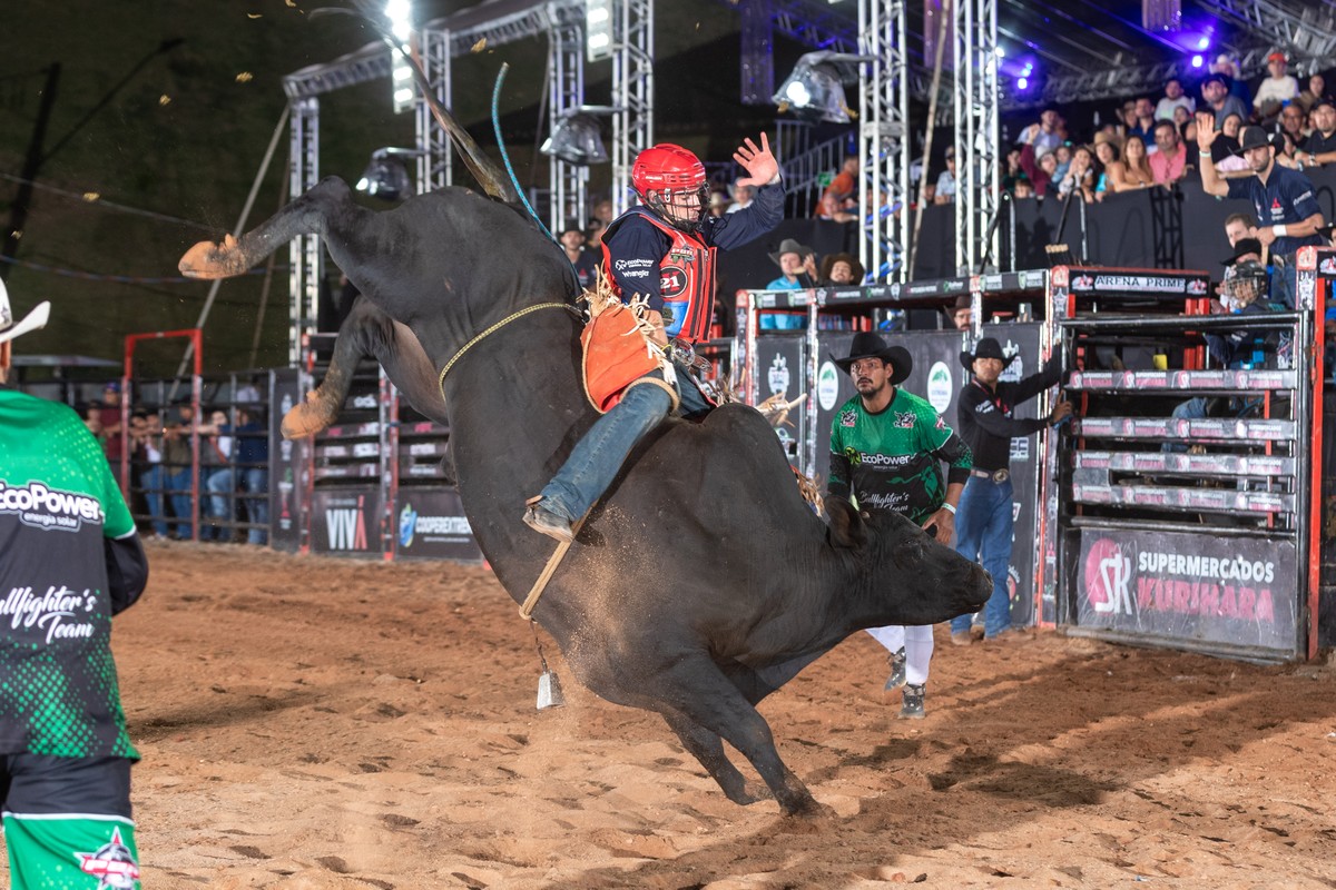 Estrelas da PBR, touros de rodeio vão a leilão em Campo Grande; conheça ...