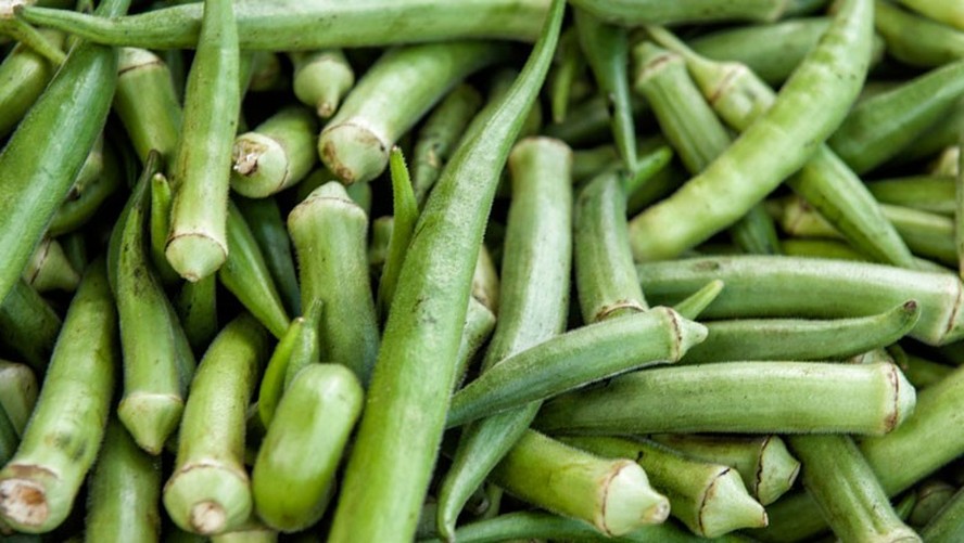 Quiabo é rico em nutrientes e pode até ser plantado em casa. Entenda