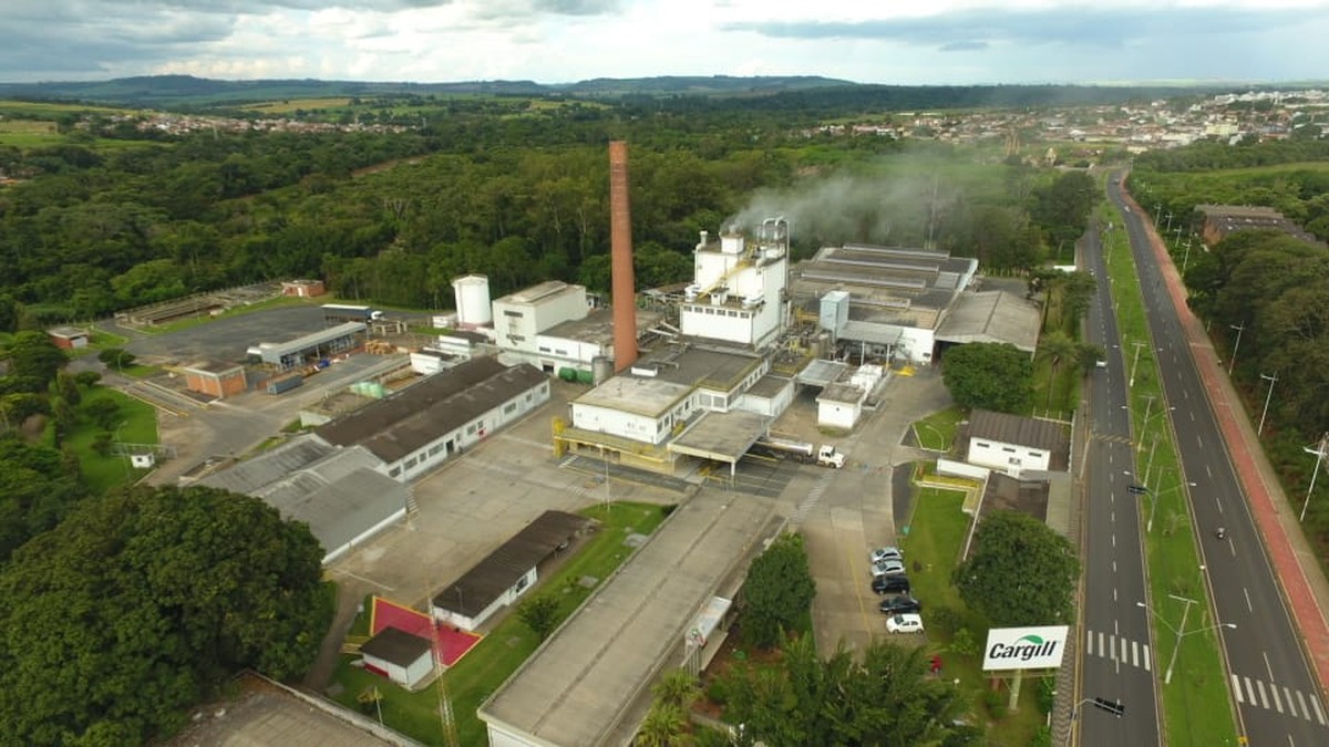 Cargill abre mais de 200 vagas de estágio