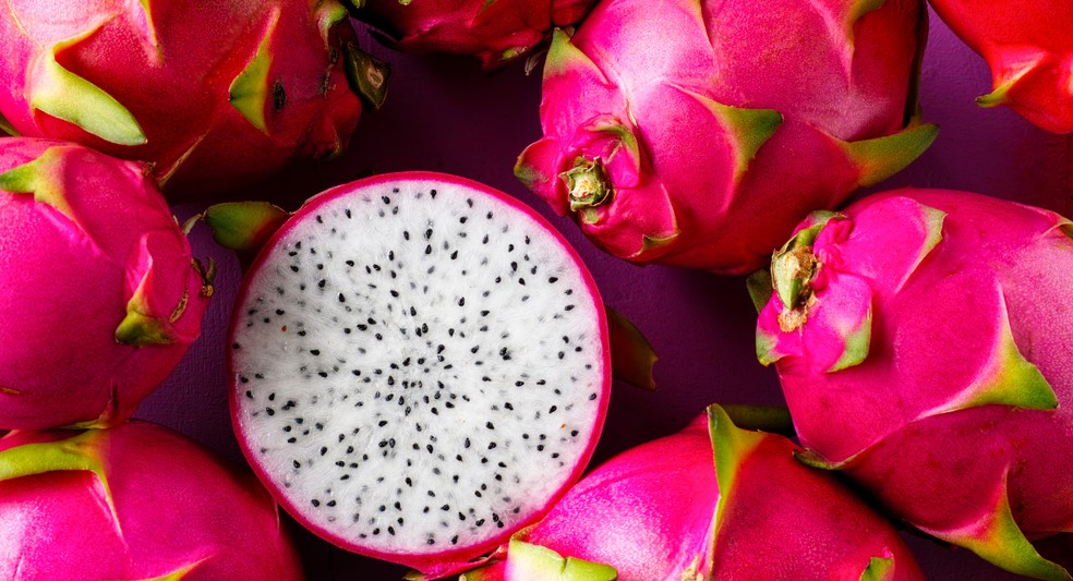 Como plantar pitaya do jeito certo? Veja o passo a passo