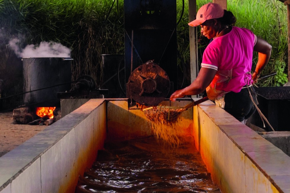 A resistência do dendê: produção vive realidades distintas no Brasil