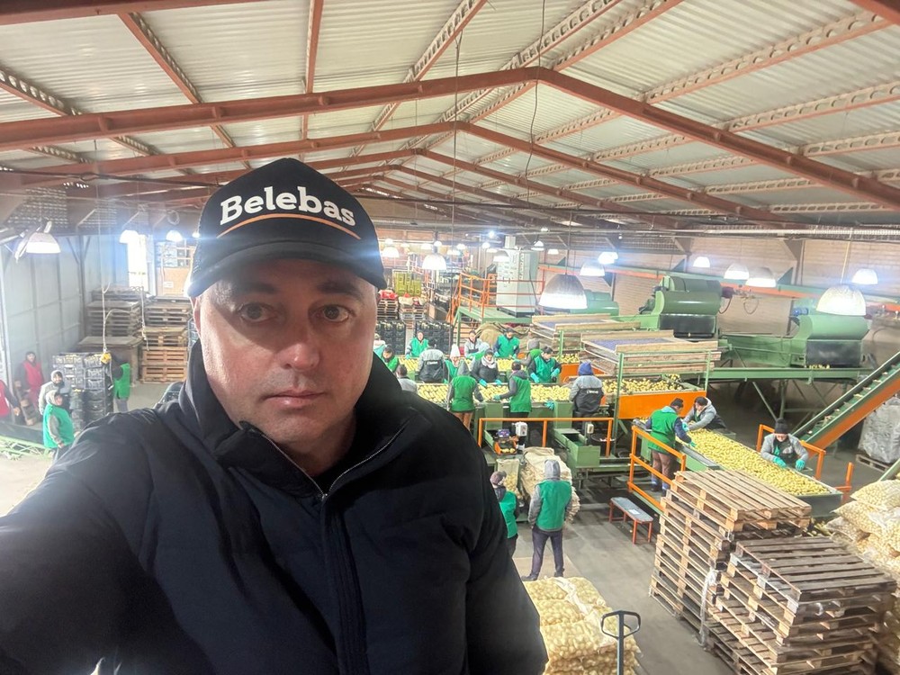 Produtores se unem para aumentar consumo da batata in natura