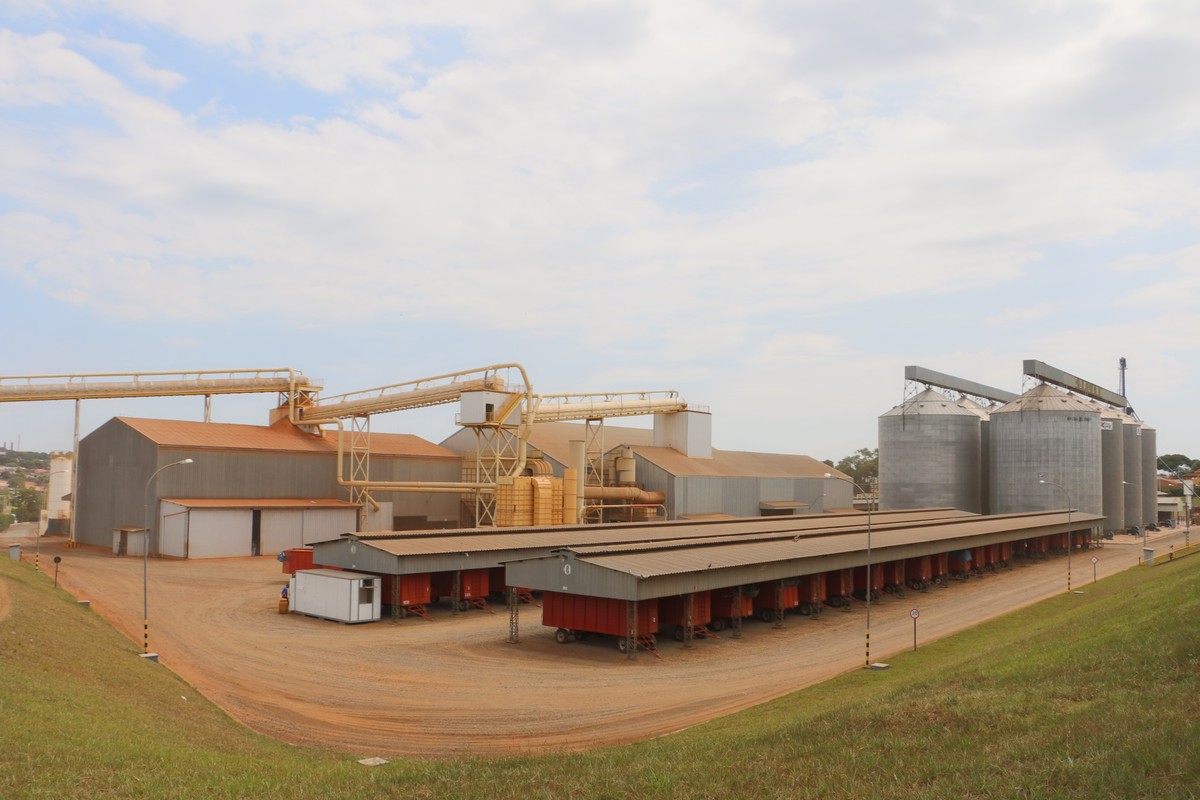 Barchart planeja expandir suas operações no agro brasileiro
