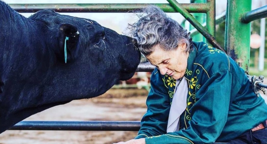 Conheça Temple Grandin, autista que usa o transtorno para entender os ...