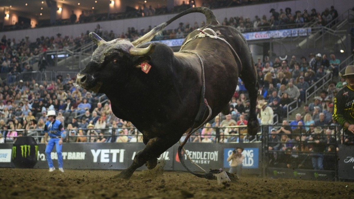 Australiano vence novamente, mas 'Poção Mágica' foi destaque na PBR