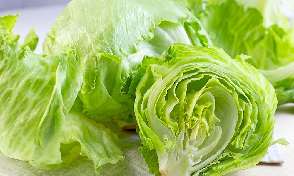 Quais tipos de alface existem? Conheça os mais comuns