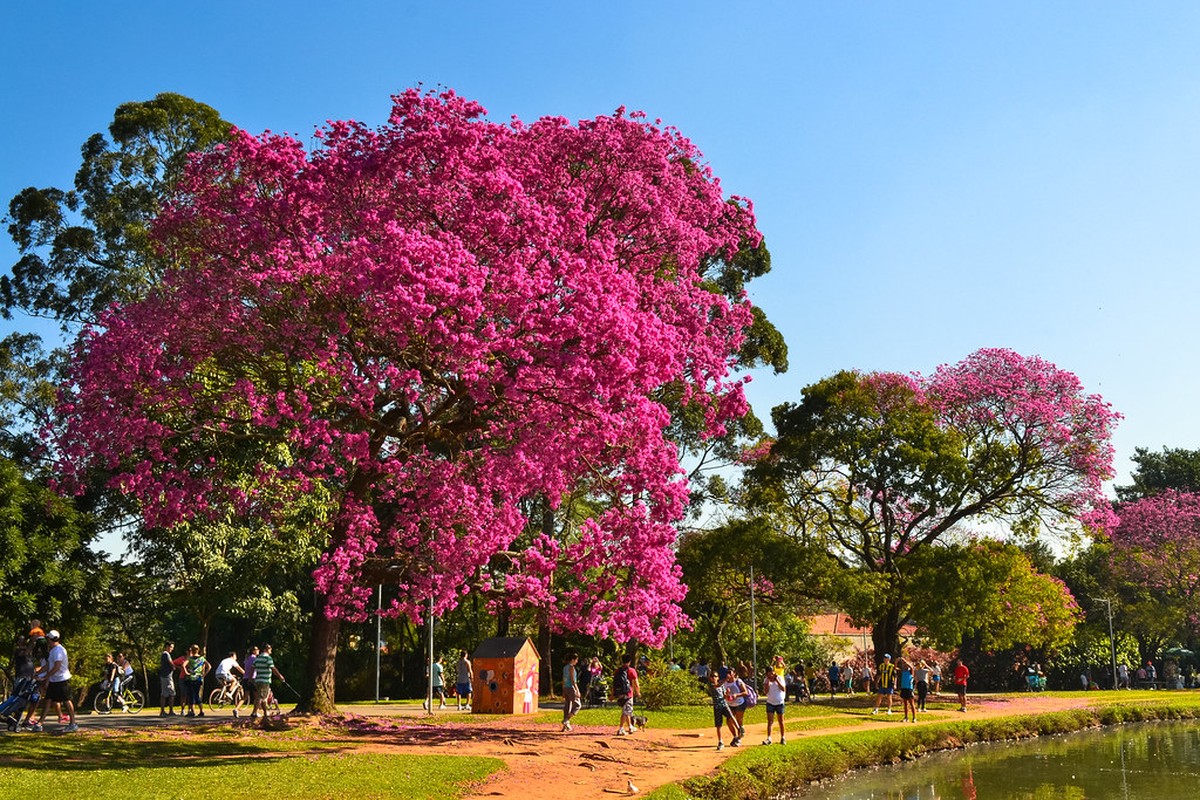 Primavera começou e como fica a seca severa no Brasil?