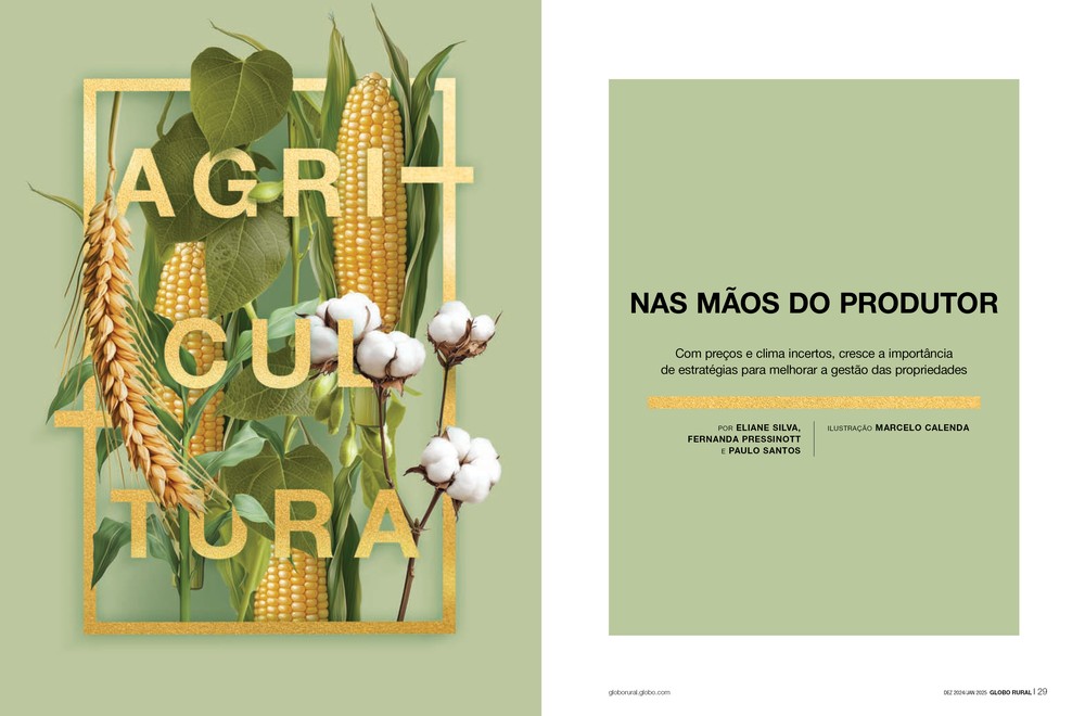 Globo Rural vence prêmio internacional de design