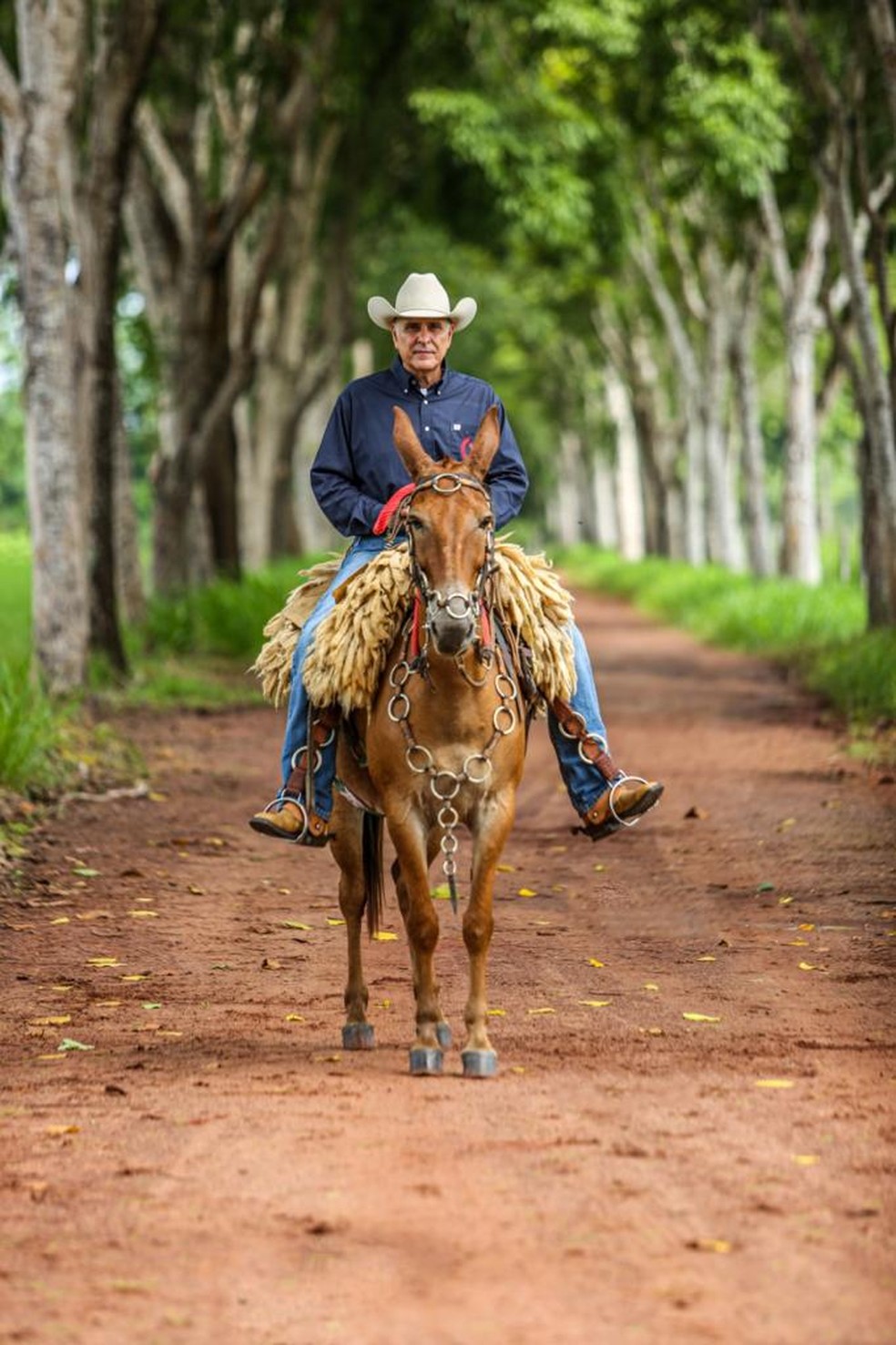 Conheça o pecuarista considerado referência em boas práticas ambientais ...