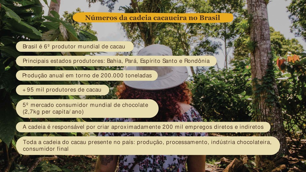 Crédito do Pronaf para produtores de cacau tem incremento de 240% em ...