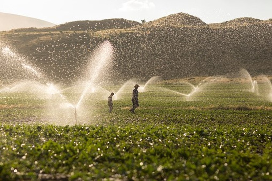 Manejo de irrigação: uso consciente da água e aumento da produtividade