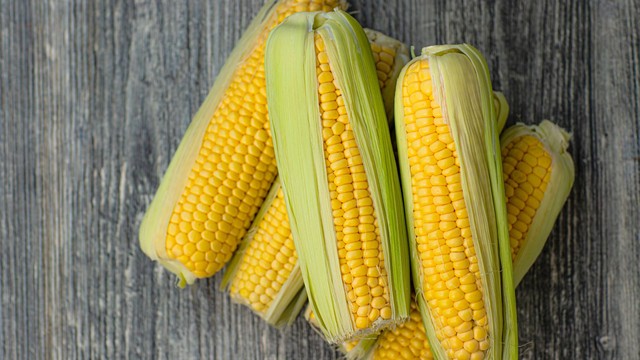 Por que a cenoura é laranja? Saiba como vegetais mudaram ao longo do tempo