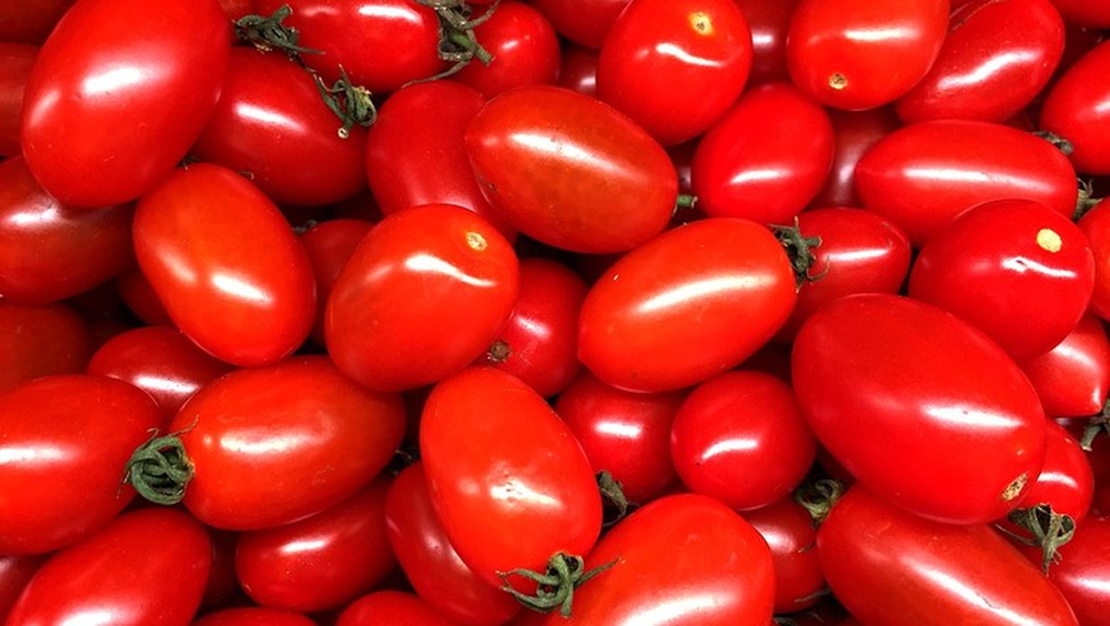 Existem mais de 10 mil tipos de tomate. Você conhece todos?