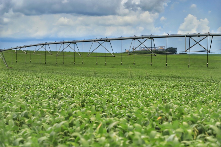Banco do Brasil vai regularizar R$ 4 bi no ‘Desenrola Rural’
