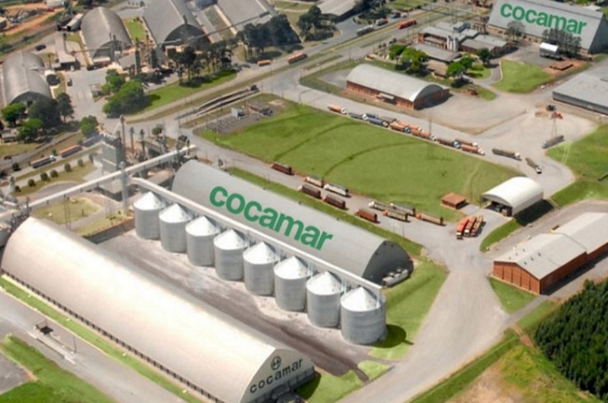 Cocamar distribui R$ 130,5 milhões em sobras do exercício aos seus ...