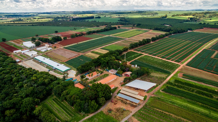 Basf aposta na América Latina, mas vê falta de mão de obra como entrave