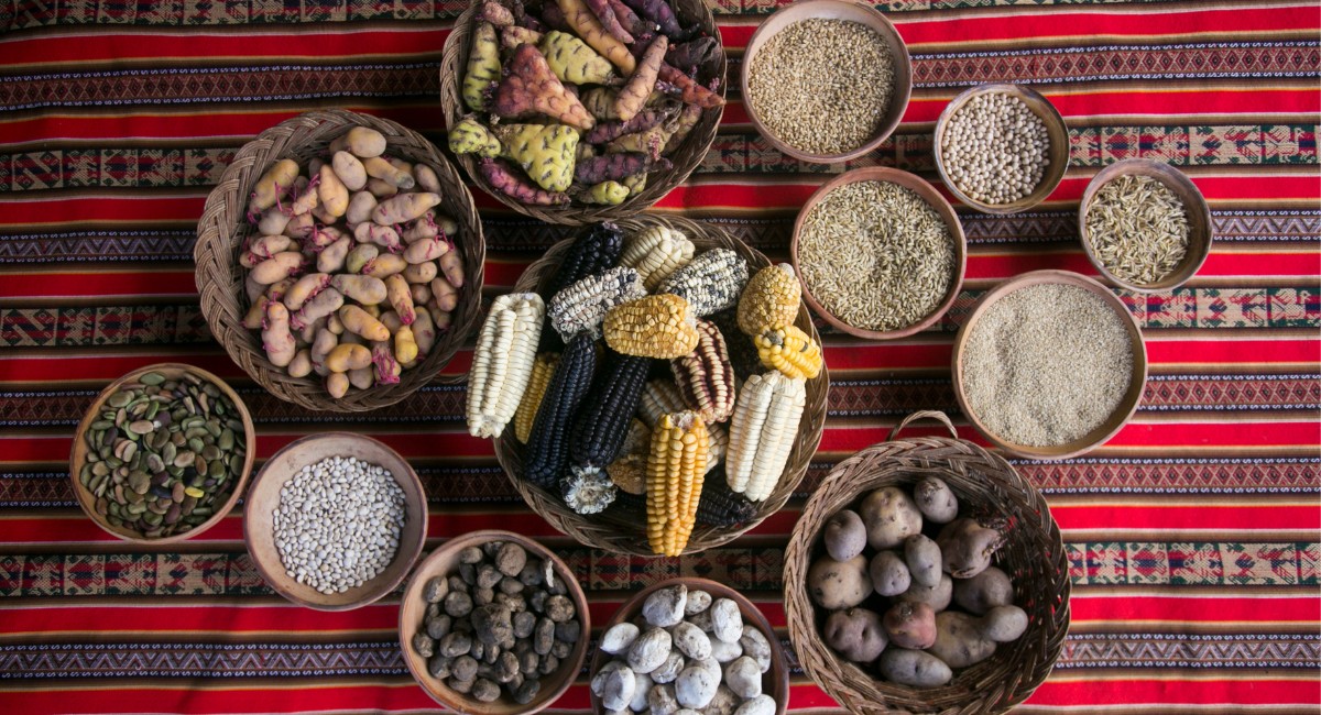 Conheça as chakras, sistema agrícola ancestral do Equador