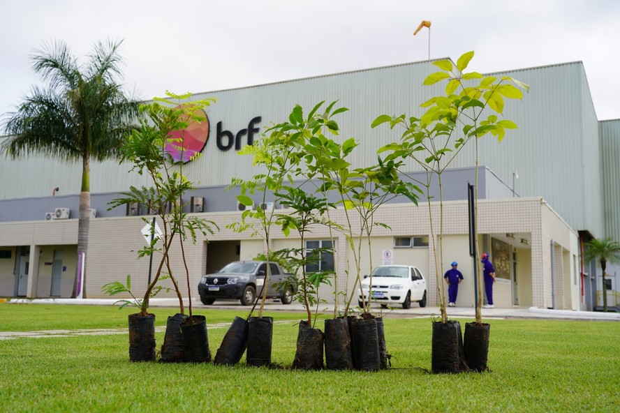 BRF é condenada a indenizar funcionária que perdeu bebês após ser mantida em frigorífico durante ...
