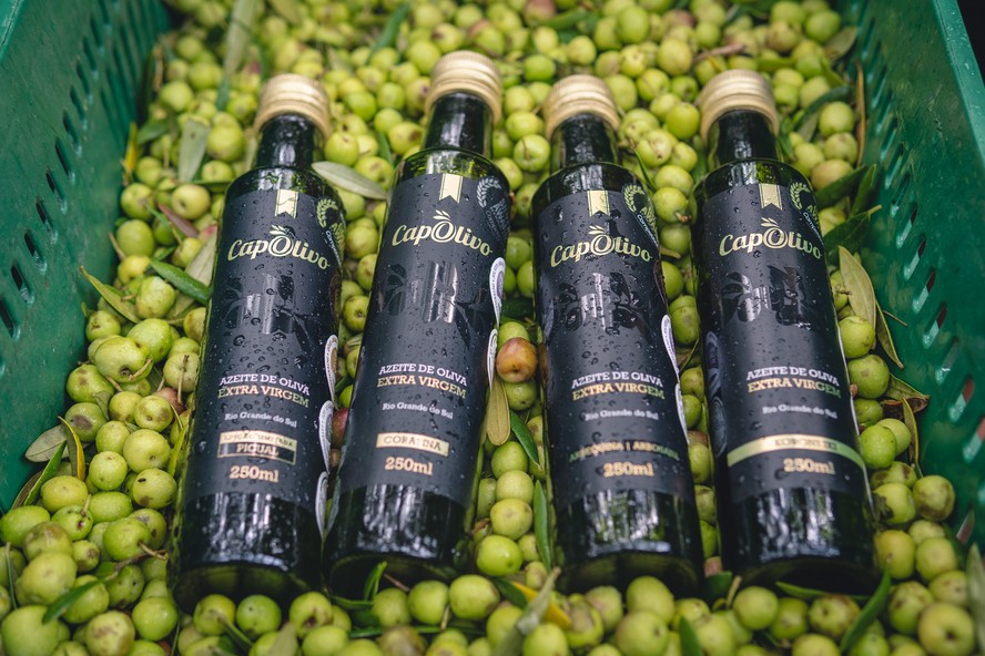 Melhor azeite do Brasil sofre 'baque' com chuvas intensas no RS