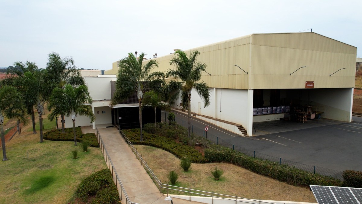 Faturamento da Cooxupé cresceu 67% em 2024