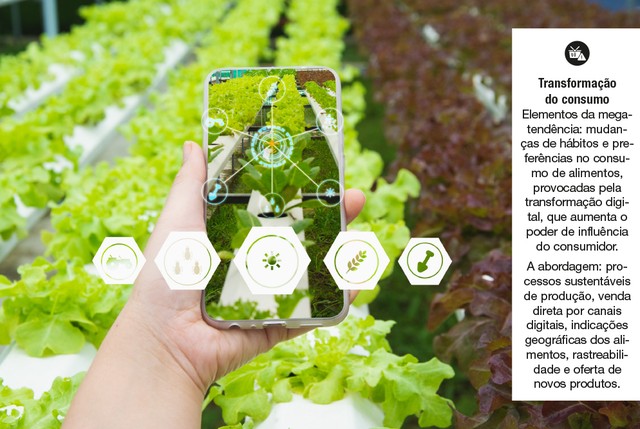 Embrapa completa 50 anos e define as prioridades para as próximas décadas