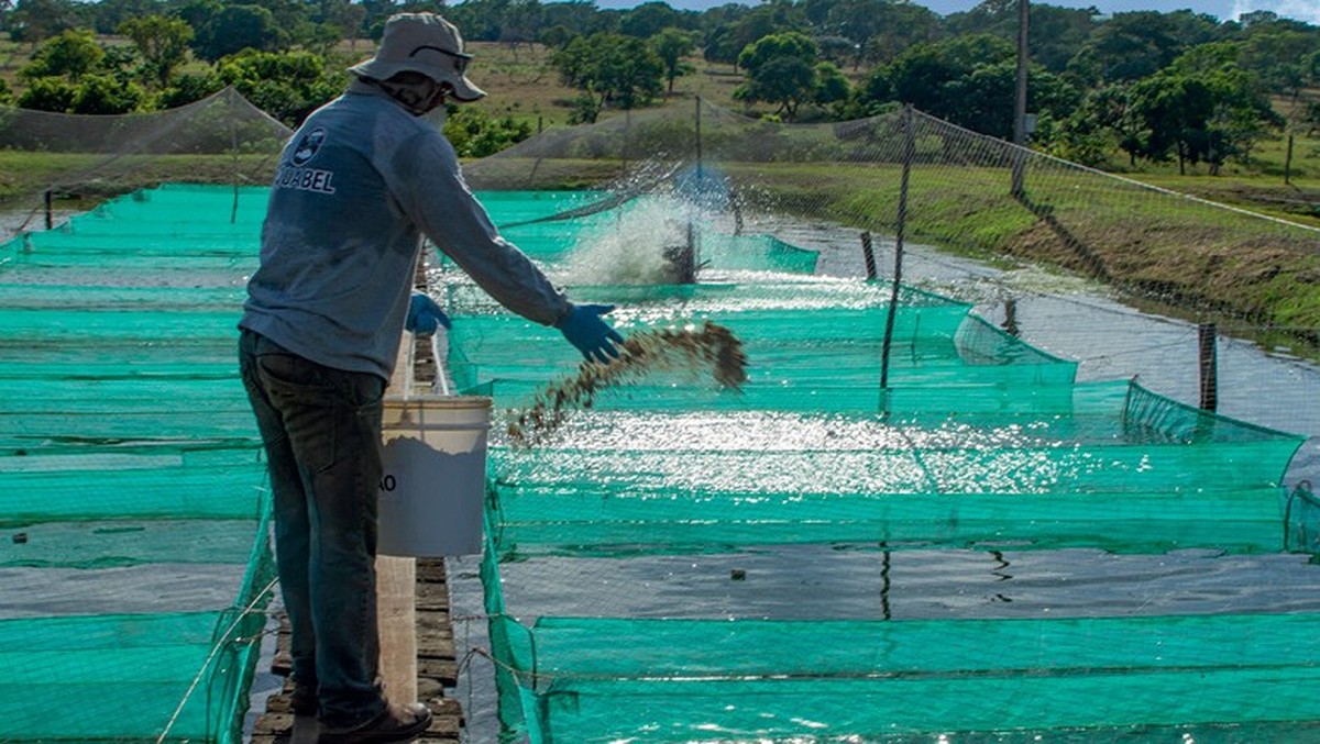 Bunge anuncia compra de parte das ações da CJ Selecta