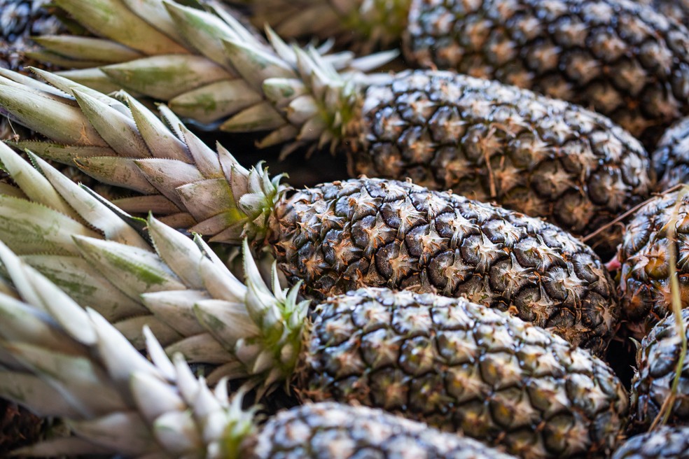 Como escolher frutas? Veja mitos e verdades para não errar nas compras