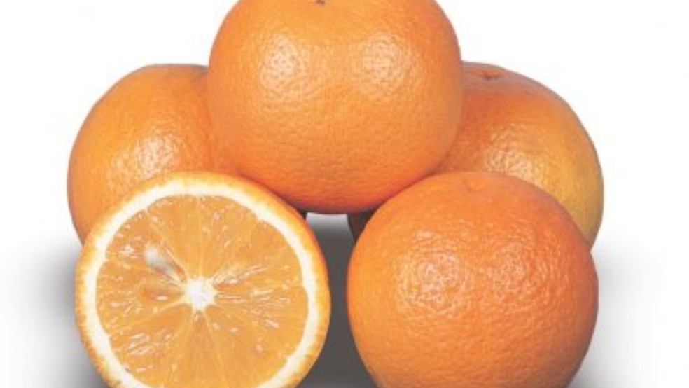 Existem mais de 5 tipos de laranja. Descubra se você conhece todas!