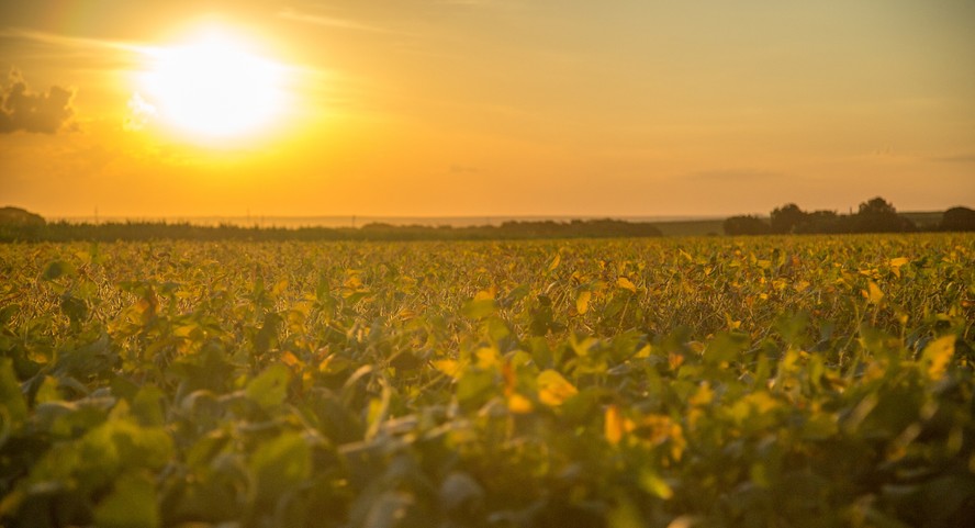 Dezembro começou! Saiba o que esperar do clima neste mês